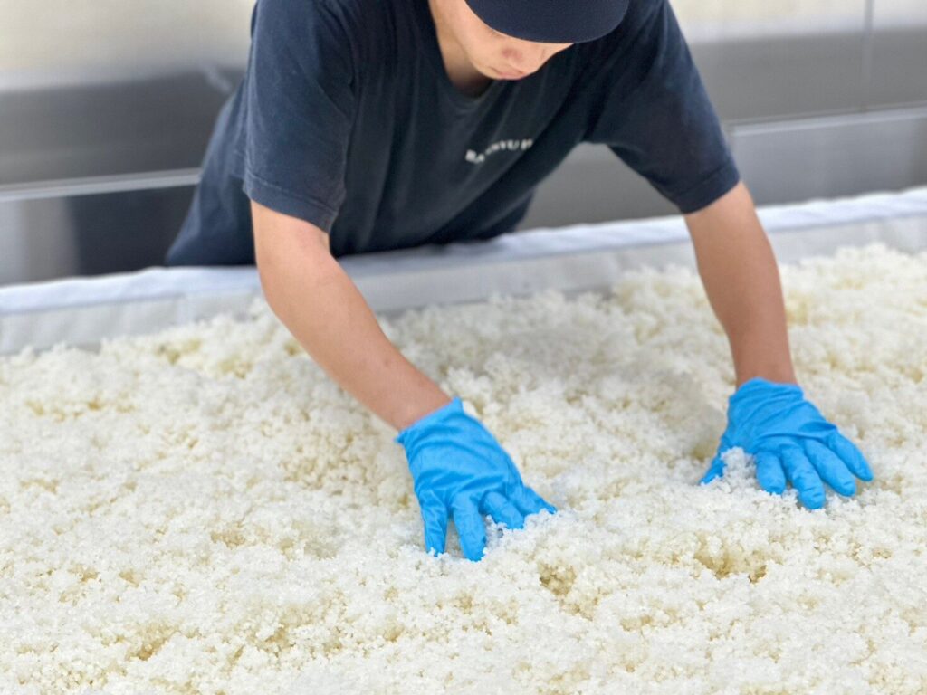 Complete Guide to How Japanese Sake Is Made｜From Rice to Bottle - Craft ...