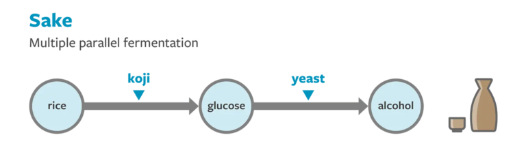 What Is "Moromi"?｜The Fermentation Process That Creates the Flavor of ...